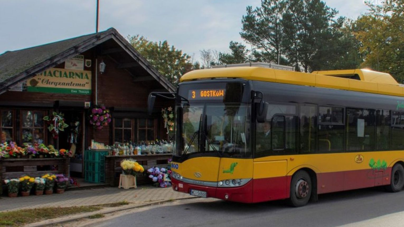 Autobusem na ciechanowski cmentarz. ZKM uruchamia dodatkowe linie